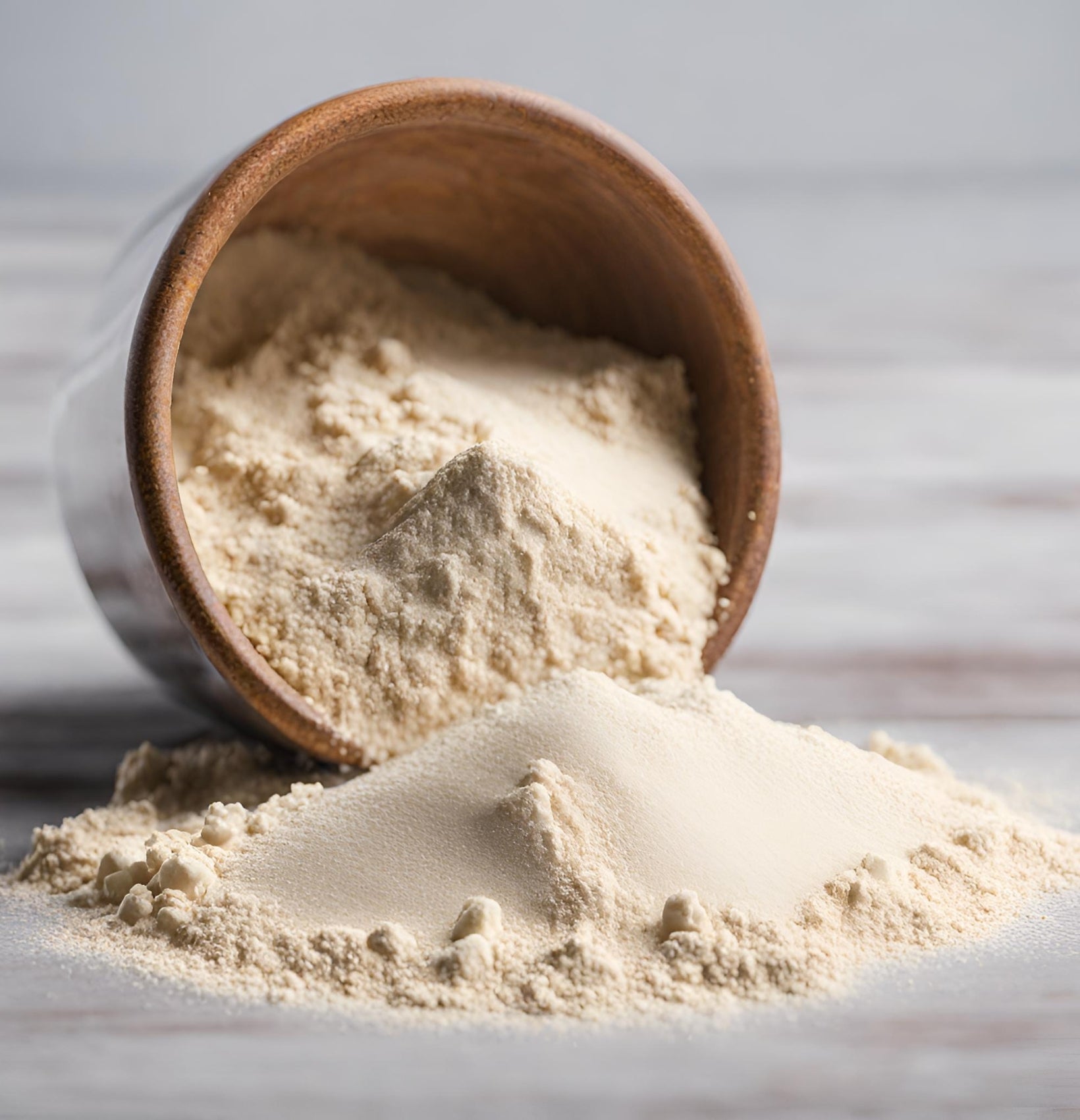 Demineralized Whey Powder | SGL08 Chemicals Corporation